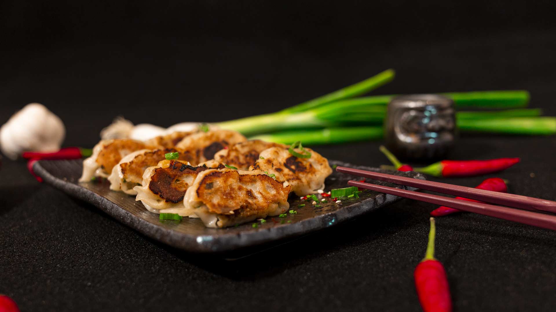 gyoza no ho | Pop-up Gyoza bar in Geneva's Old Town